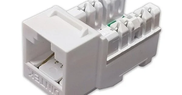 DINTEK Cat-6 Keystone Jack with Enhanced Connectivity